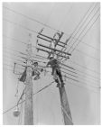 Linemen up pole (2 Negatives (July 23, 1959) [Sleeve 53, Folder c, Box ...
