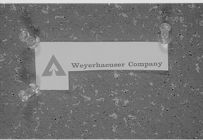 Weyerhaeuser logo - ECU Digital Collections