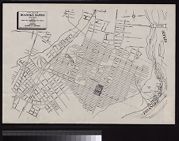 City map of Roanoke Rapids, North Carolina : including Horner Town ...